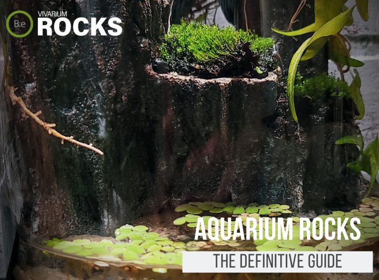 Pumice Rock "Floating Stone" Aquascape | Hardscaping Guide