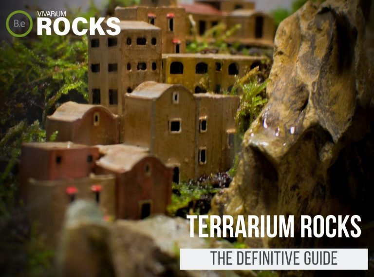 Vivarium Rocks: The Definitive Guide & Complete List | Bantam.Earth