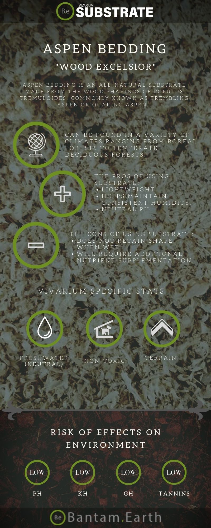 A Complete Guide On Aspen Bedding For Terrarium Use