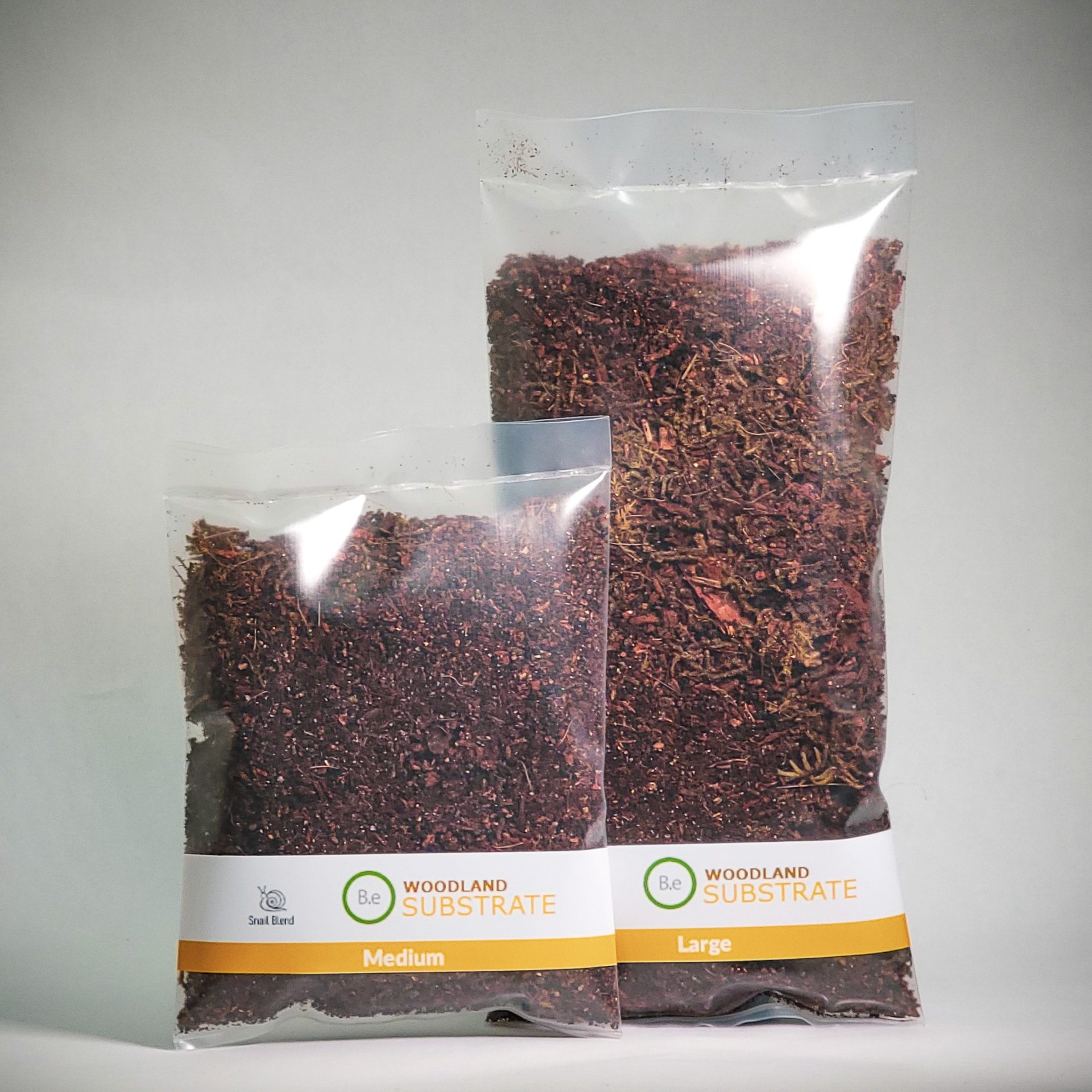 What Do Slugs Eat? + The Ultimate DIY Slug Food Recipe!