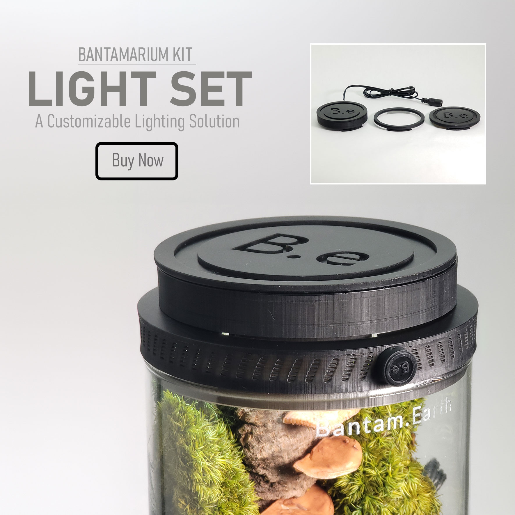 Terrarium Lighting: The Most Complete Guide