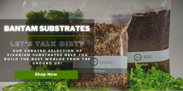 Terrarium Substrate & Soil: The Most Complete Guide