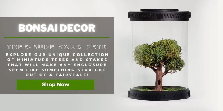 Vivarium Wood, Driftwood & Bark: The Definitive Guide & Complete List